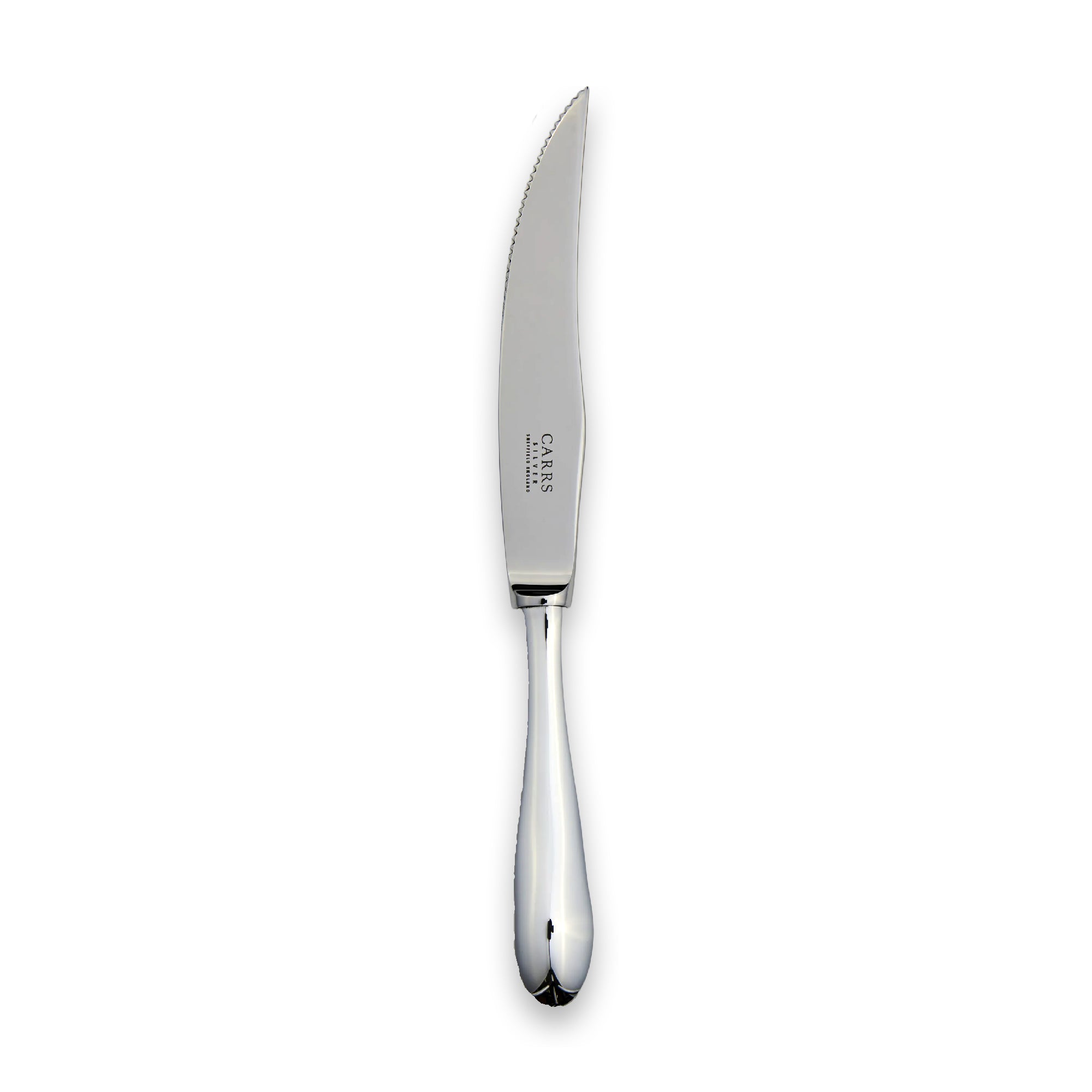 Vision Steak Knife | Carrs Silver