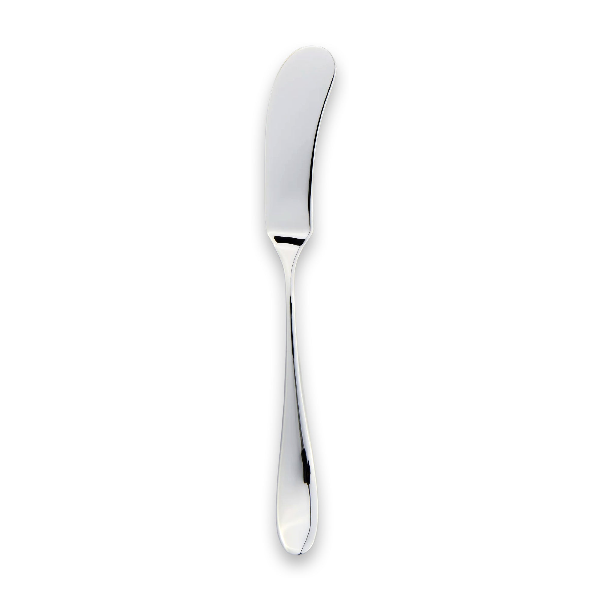 Vision Butter Spreader | Carrs Silver